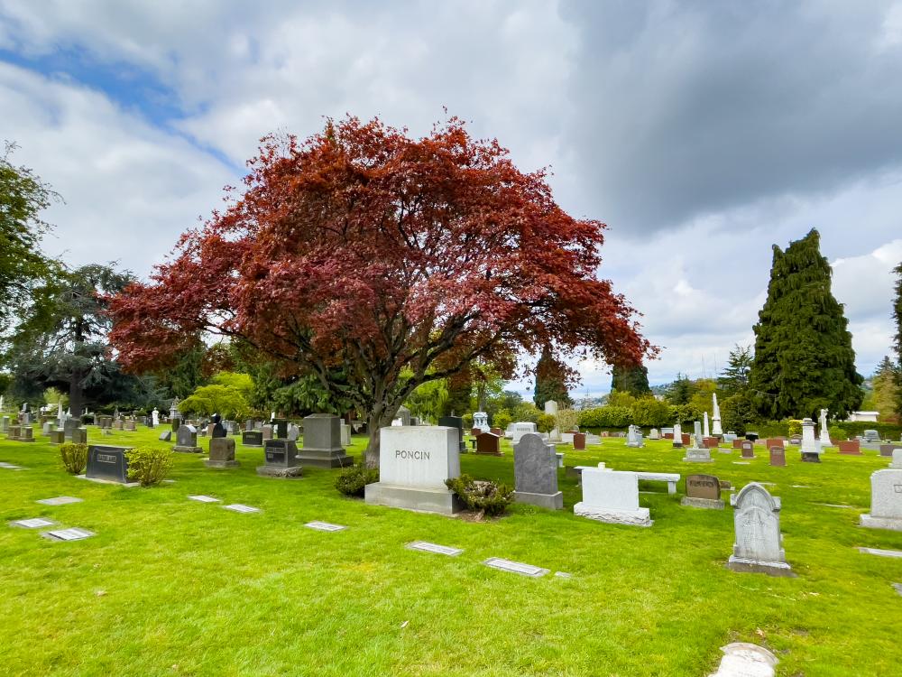 Trees & Cemetery Features - Lake View Cemetery