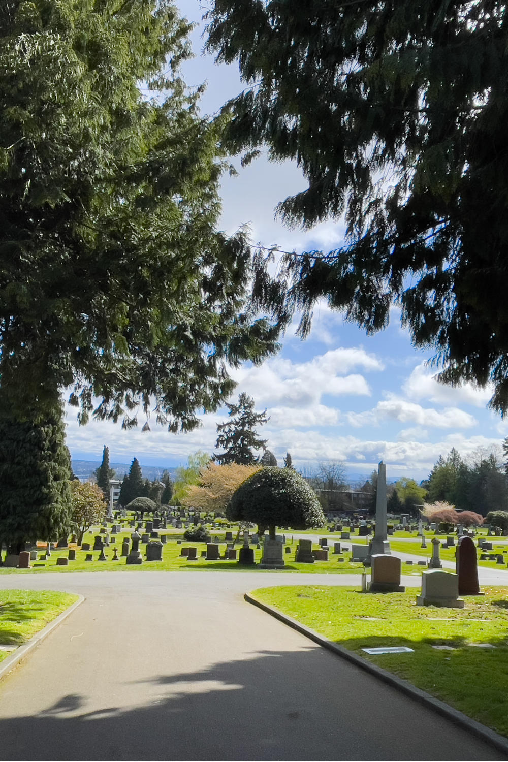 Home - Lake View Cemetery