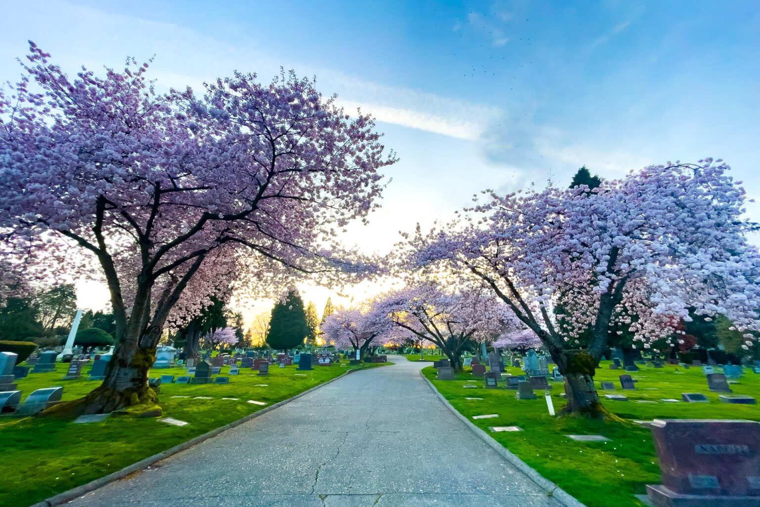 Home - Lake View Cemetery