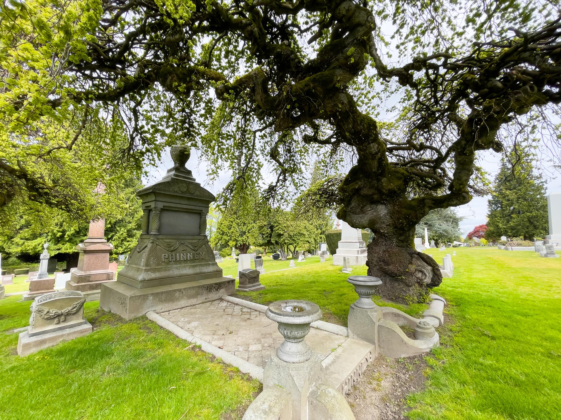 Burials & Cremations - Lake View Cemetery