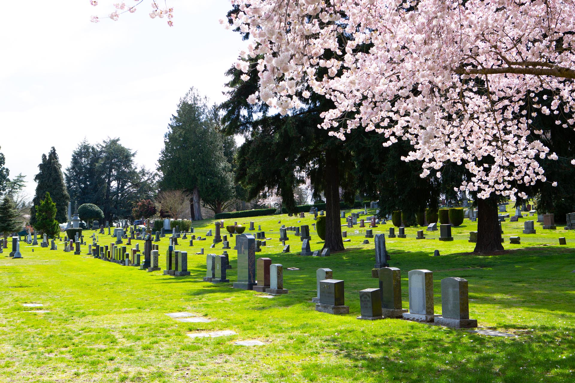 Burials & Cremations - Lake View Cemetery