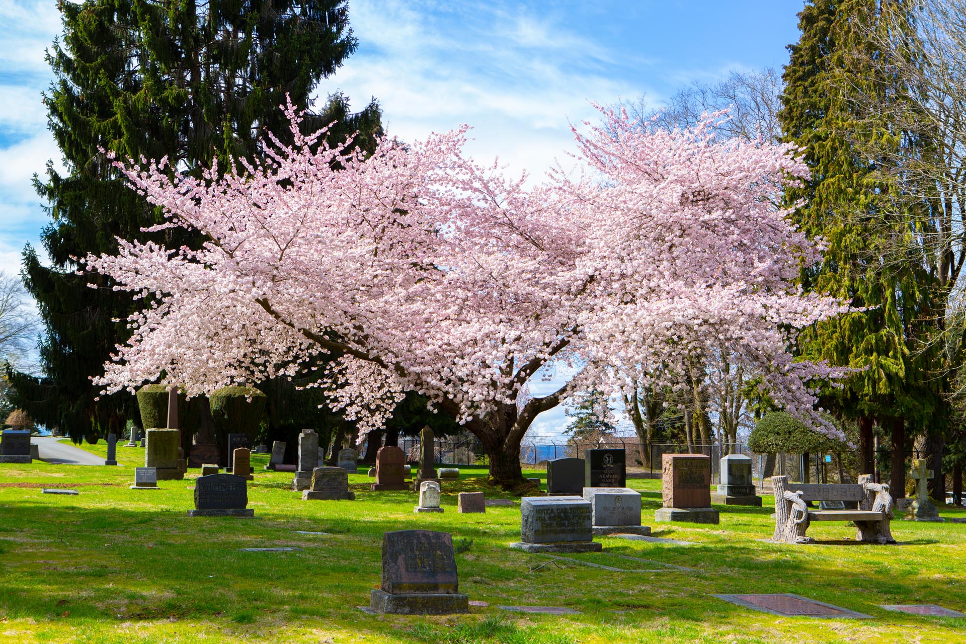 Burials & Cremations - Lake View Cemetery